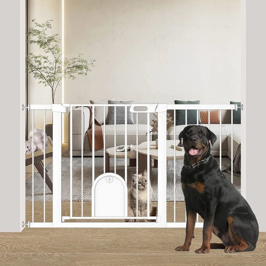 Small Door But Big Convenience - Why Choose a Baby Gate with Cat Door ...