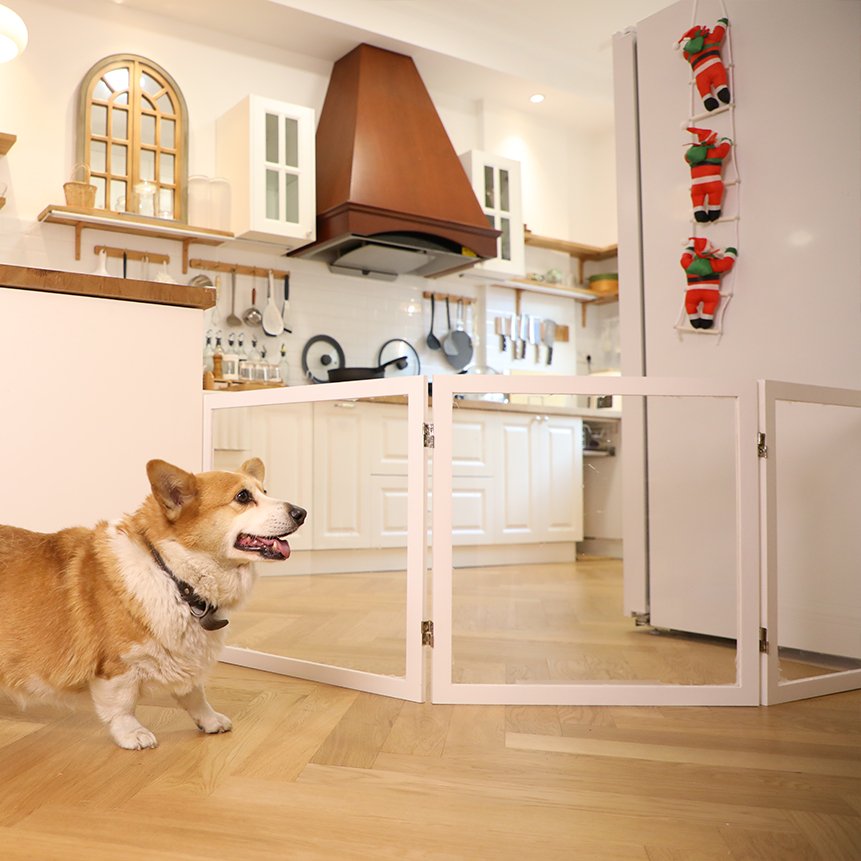 Clear Freestanding Dog Gate | Modern Design Pet Gate Barriers for Dogs ...